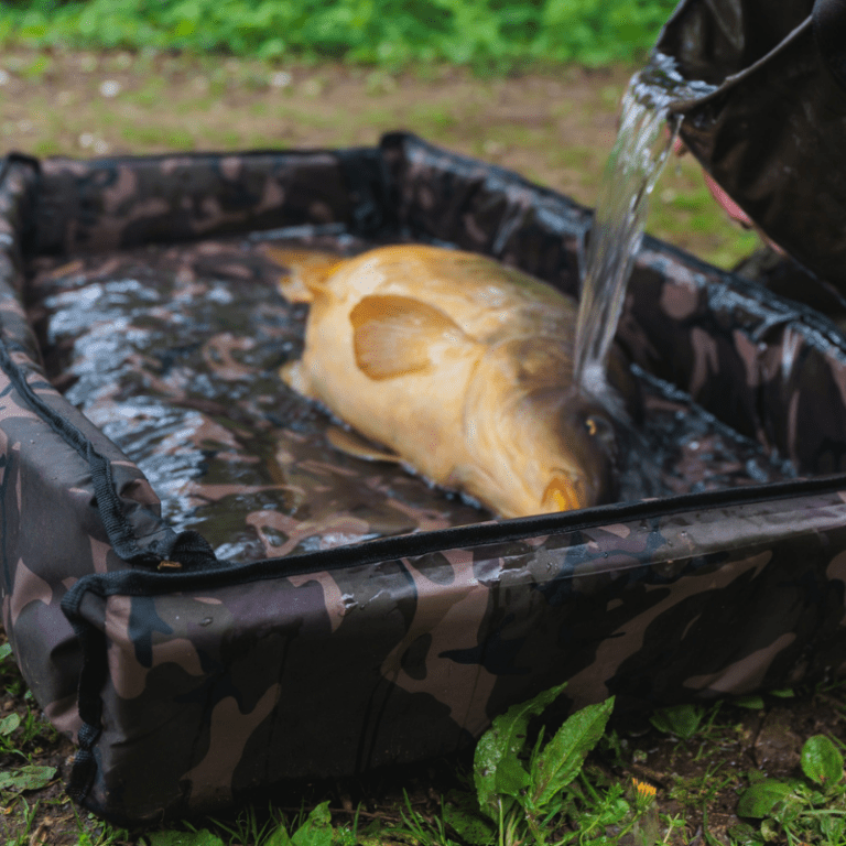 Competitions - Capital Carp Competitions